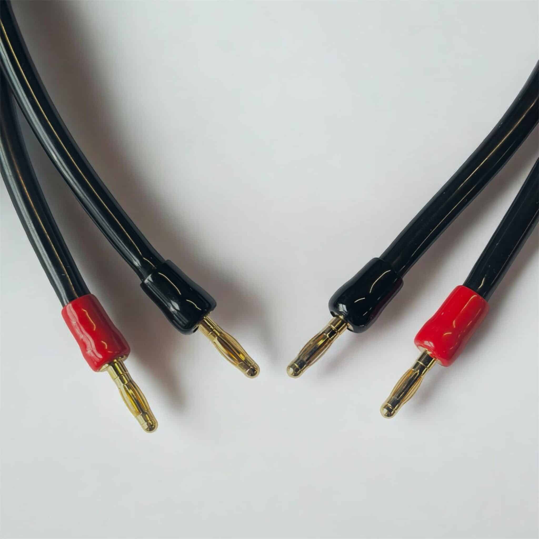 Transparent Hardwired Speaker Cable - AV World - Auckland HiFi Store